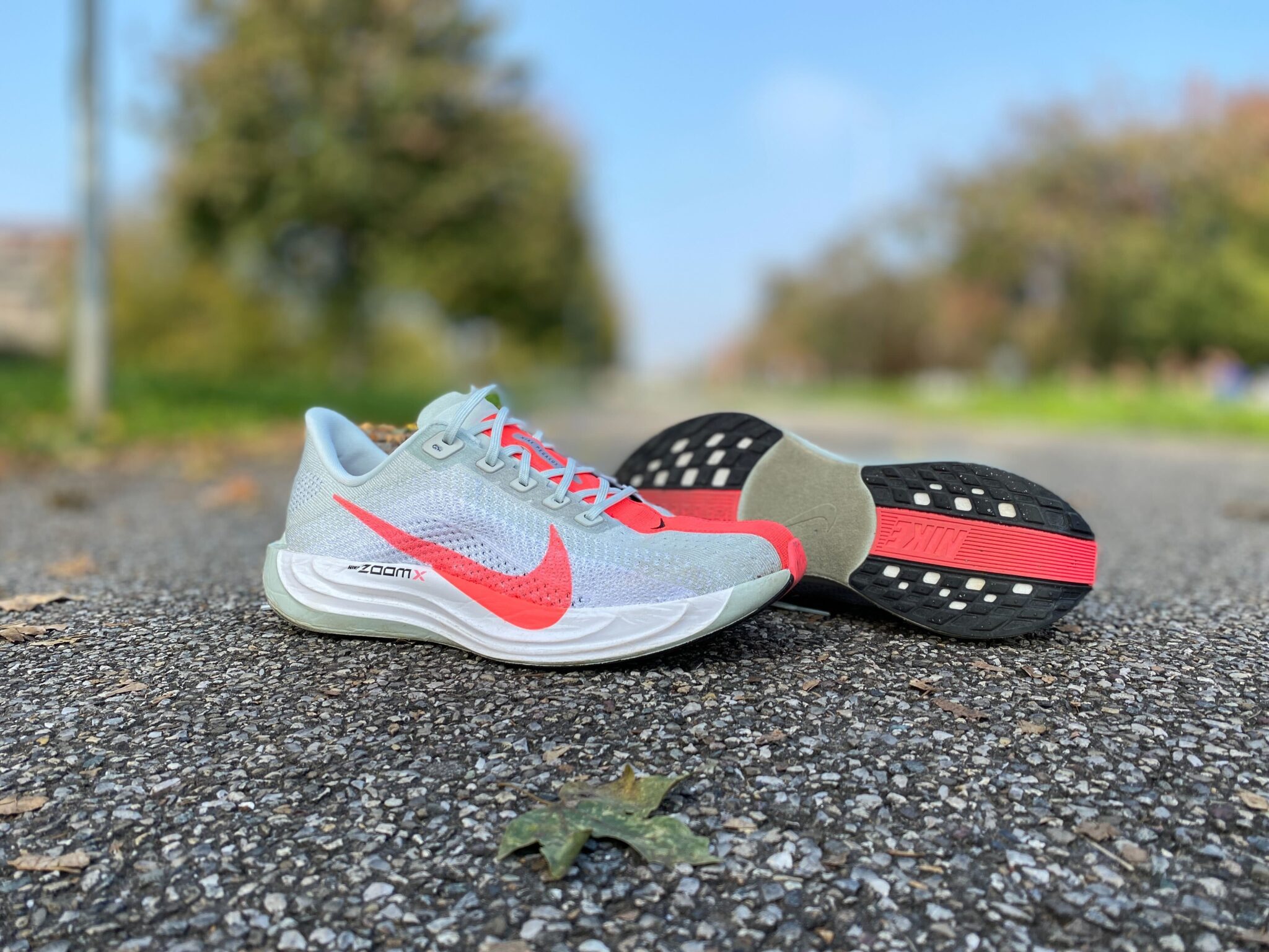 Recensione Pegasus Plus, la Nike con il turbo - The Running Club